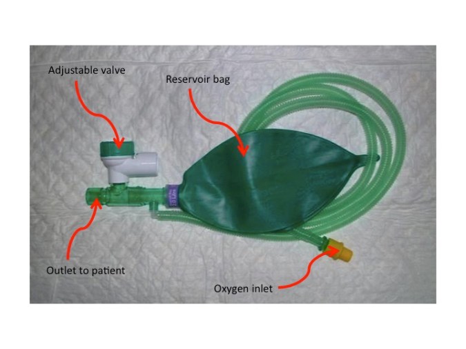 Episode 6: Oxygenation | phemcast