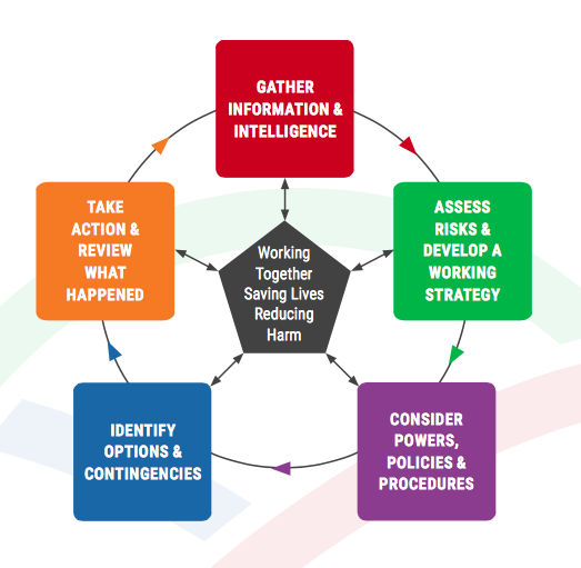 JESIP principles | phemcast