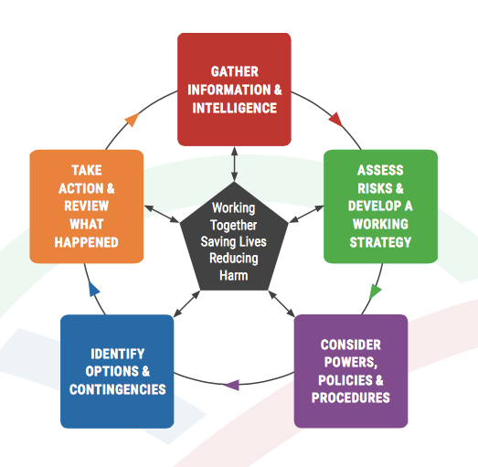 JESIP principles | phemcast